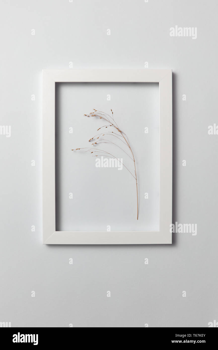 Natural organic frame with dry plant branch on a light gray background ...
