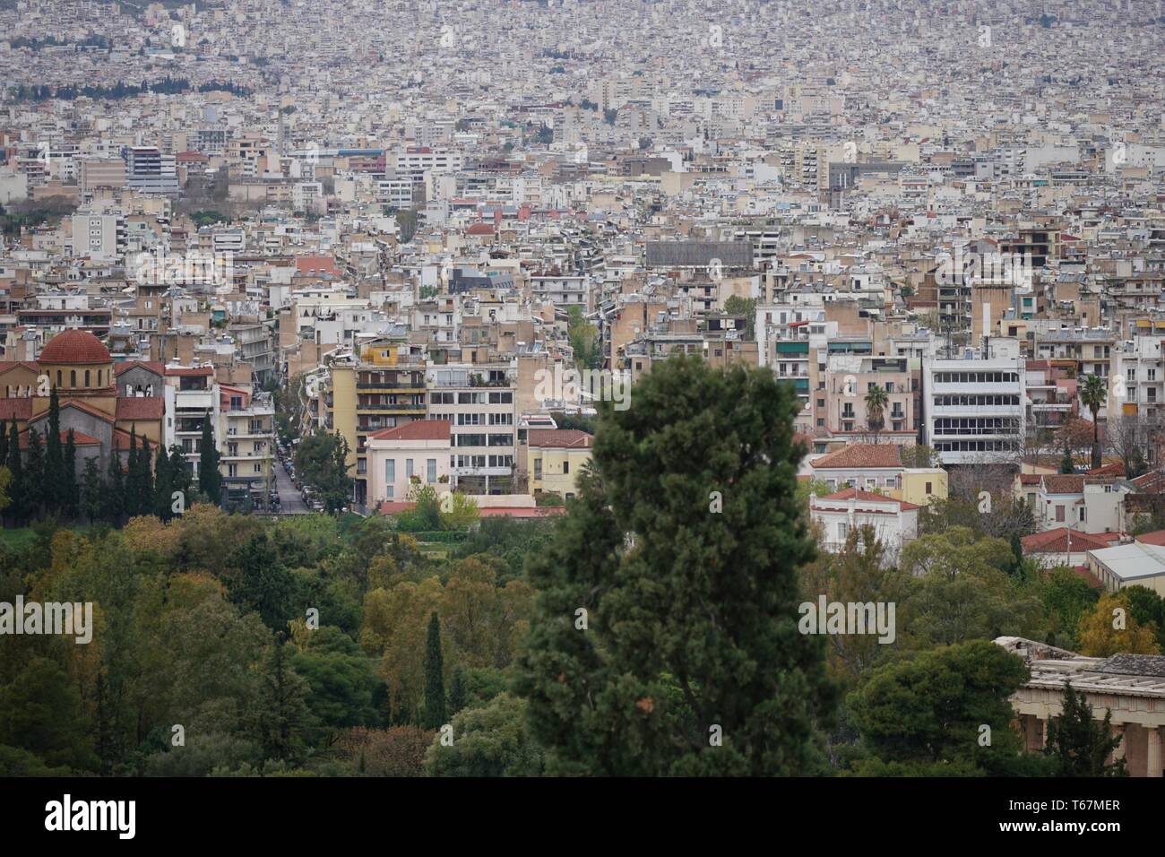Vector city skyline forest hi-res stock photography and images - Alamy