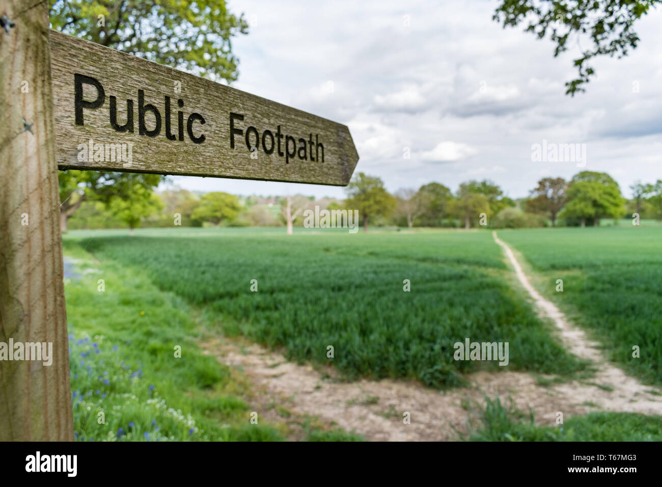 Fingerpost field hi-res stock photography and images - Alamy