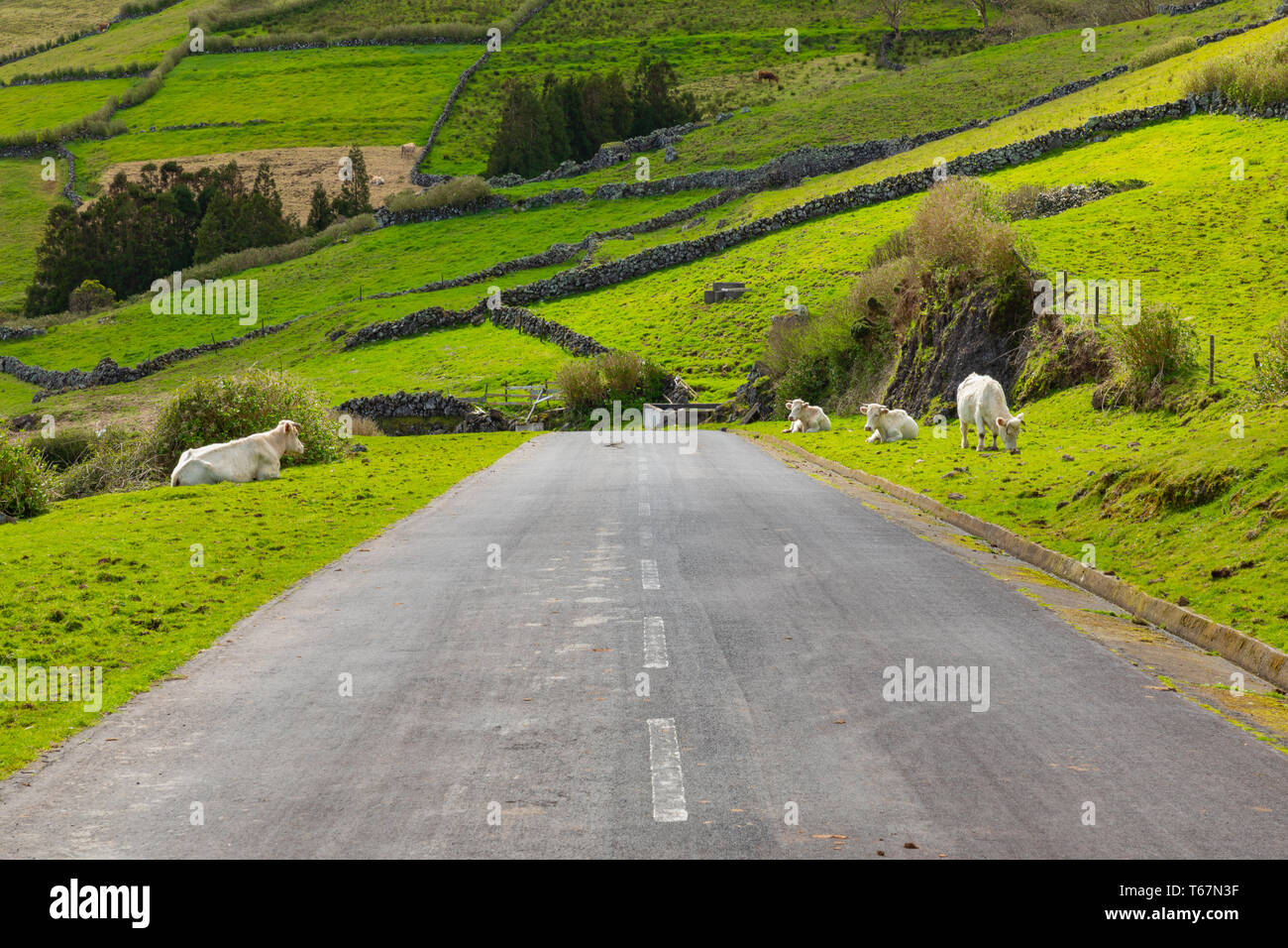 Portugal azores corvo road hi-res stock photography and images - Alamy