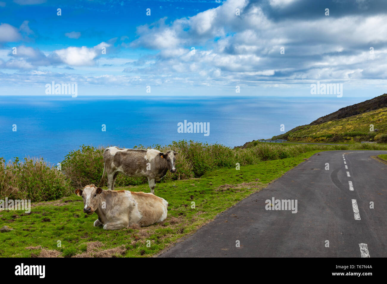 Portugal azores corvo road hi-res stock photography and images - Alamy