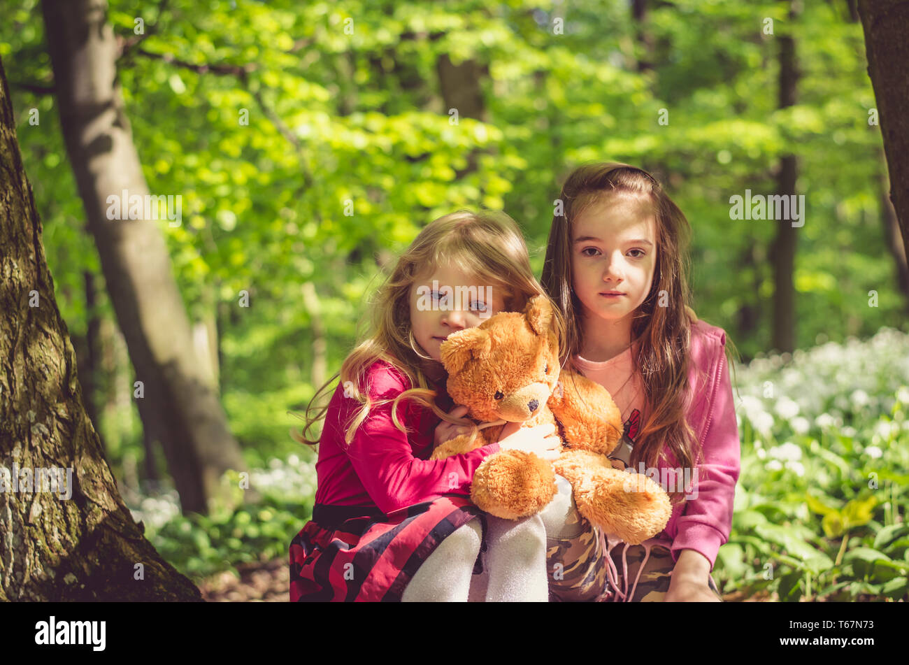 two beautiful friends sitting in green spring meadow with white flowers ...