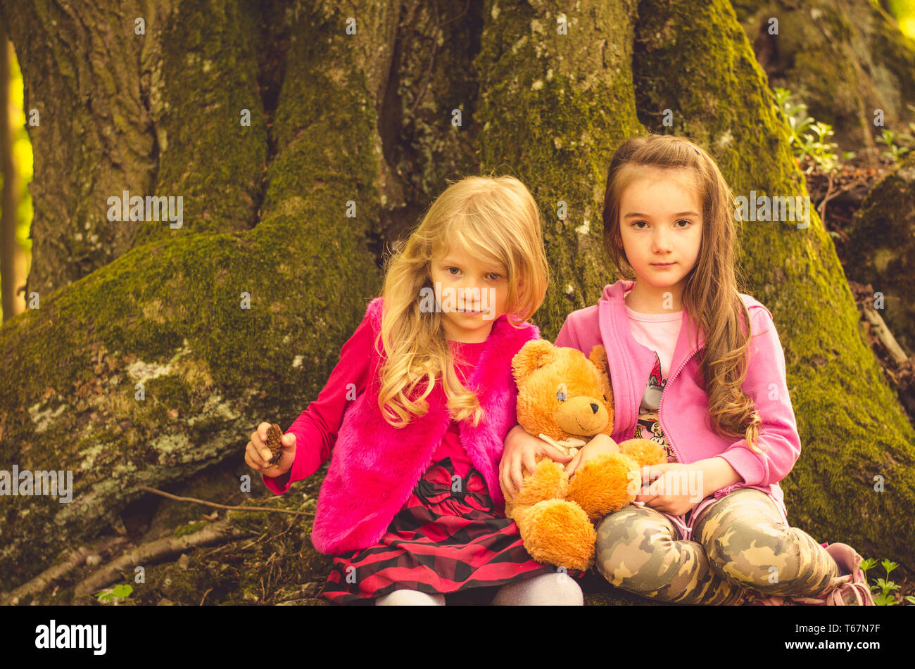 two beautiful friends sitting by the huge tree trunk Stock Photo - Alamy
