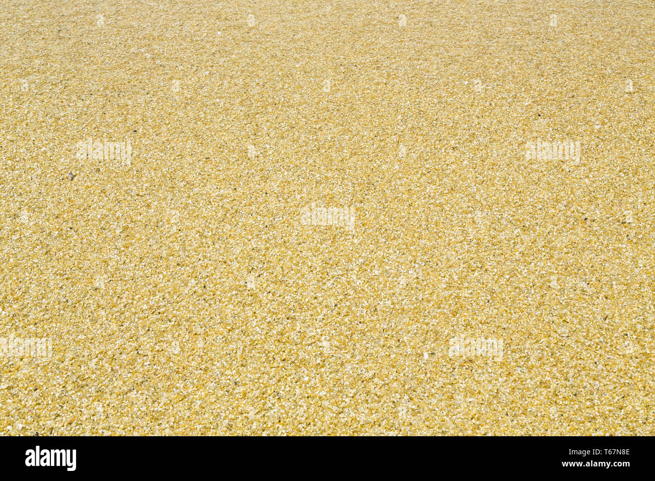 close up of wet beach sand for backgrounds Stock Photo - Alamy
