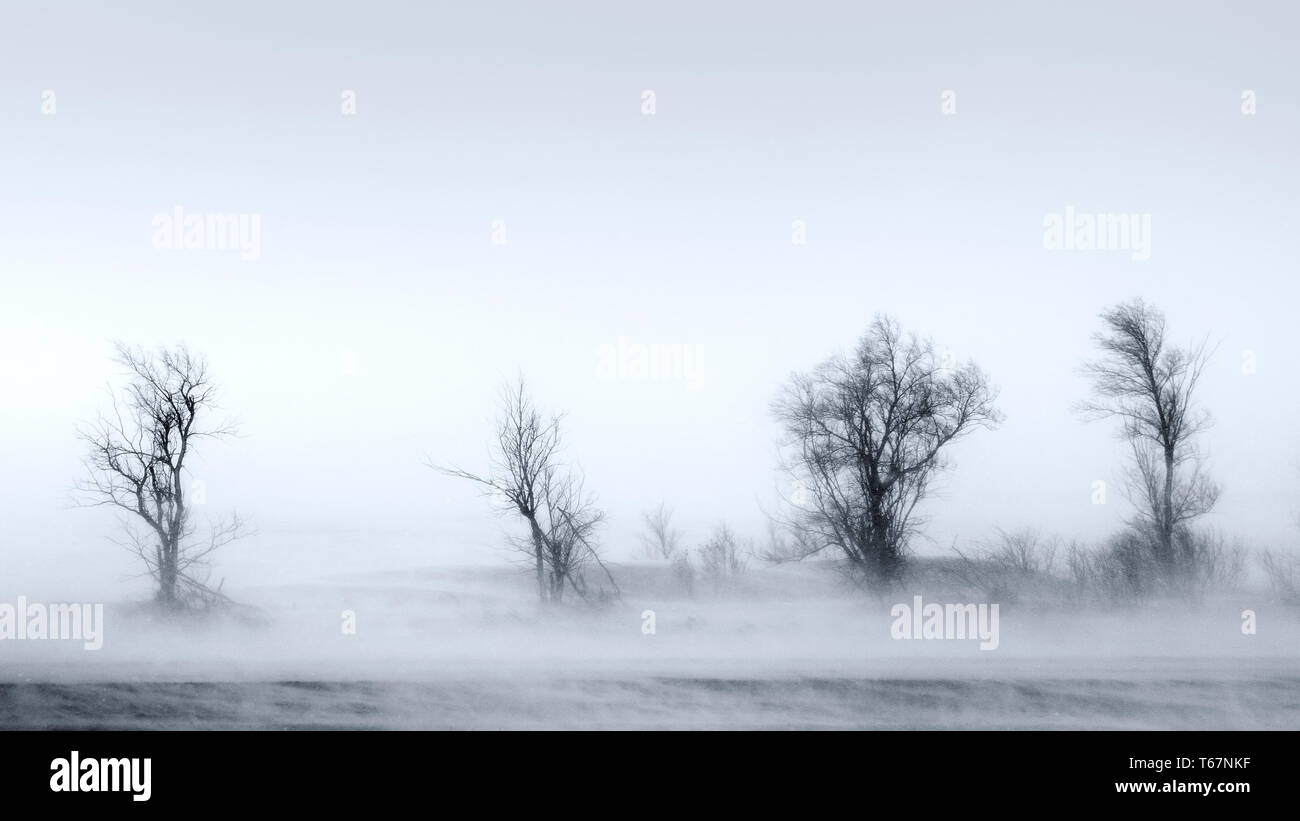 North dakota winter hi-res stock photography and images - Alamy