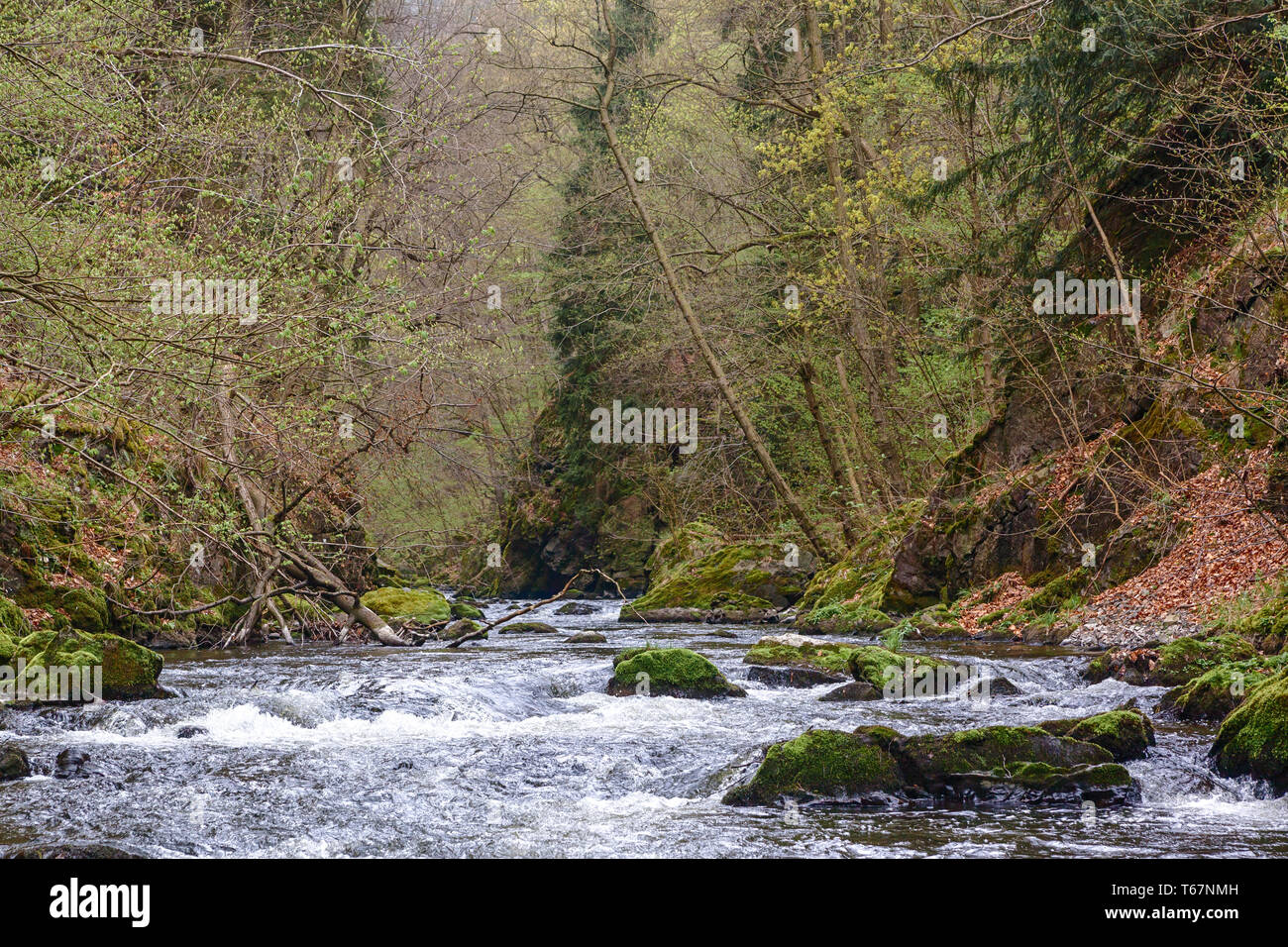 Bode river gorge hi-res stock photography and images - Alamy