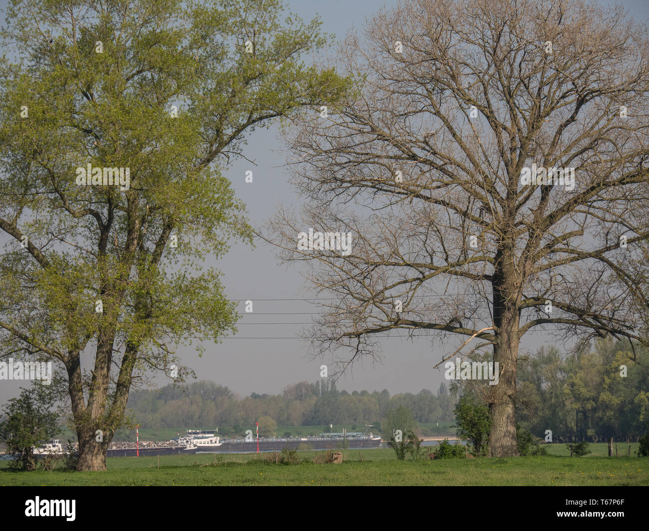 rhine river in germany Stock Photo - Alamy