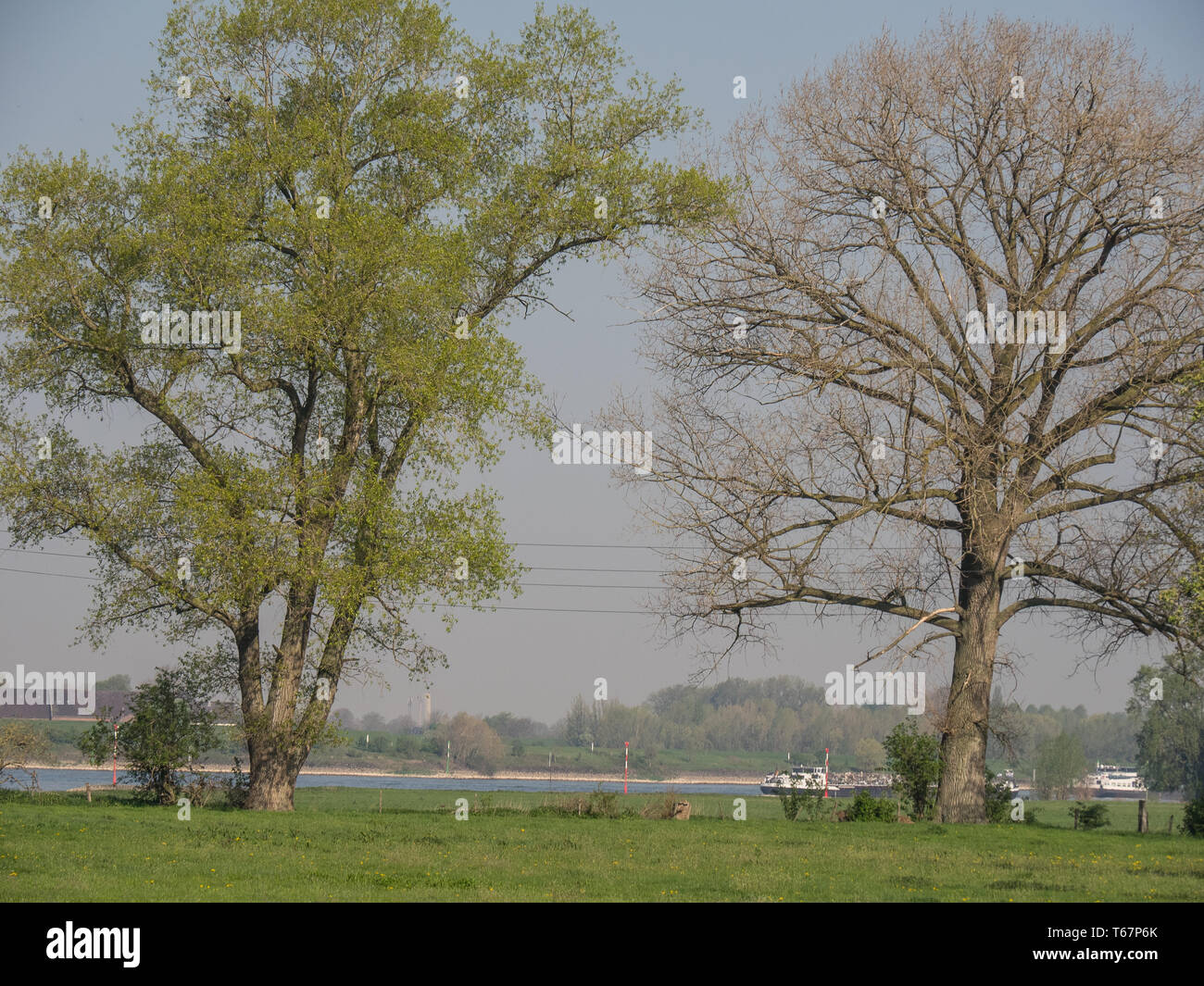rhine river in germany Stock Photo - Alamy