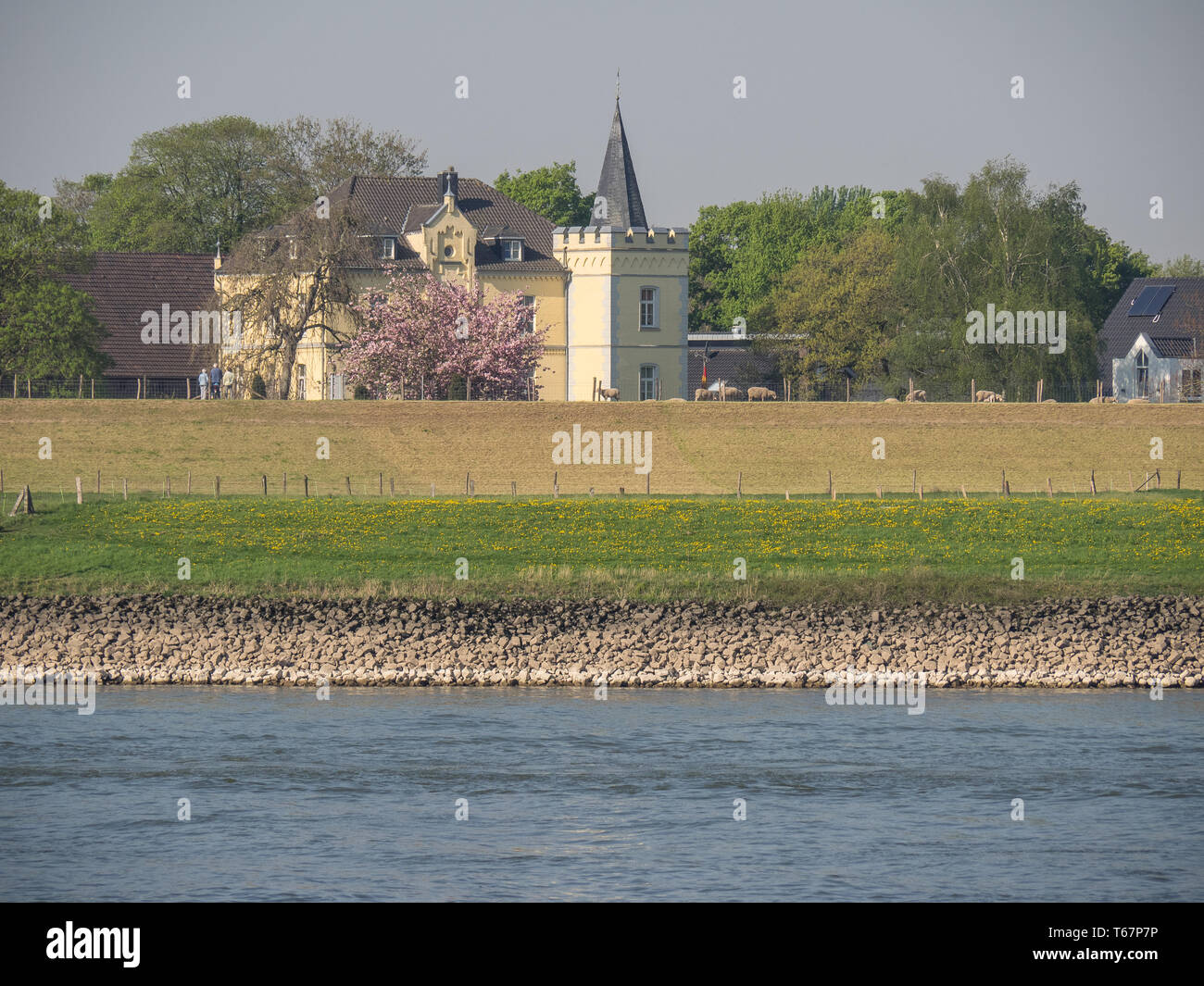 rhine river in germany Stock Photo - Alamy