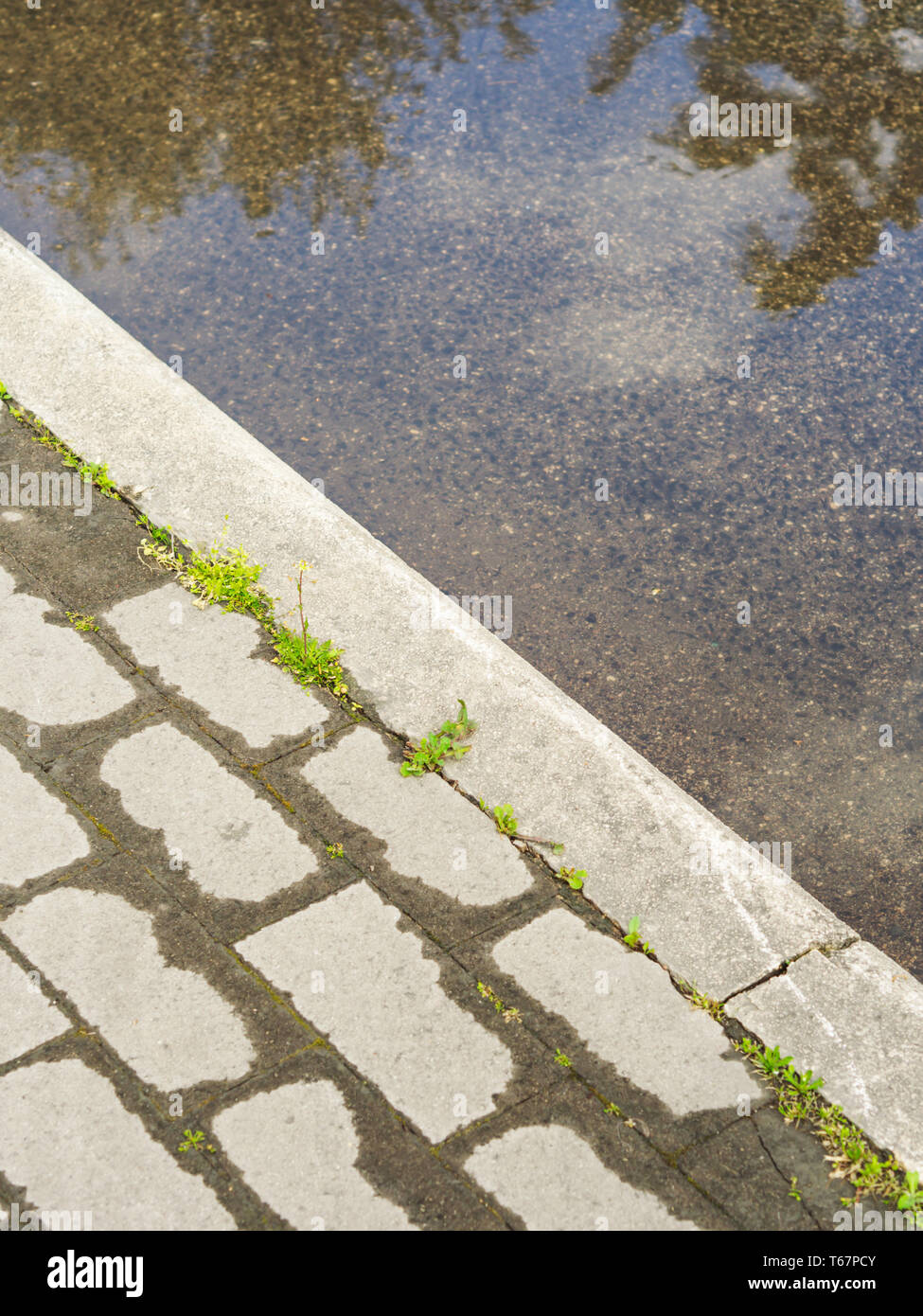 Wet pavement with vegetation and puddle in the city. Urban detail Stock ...
