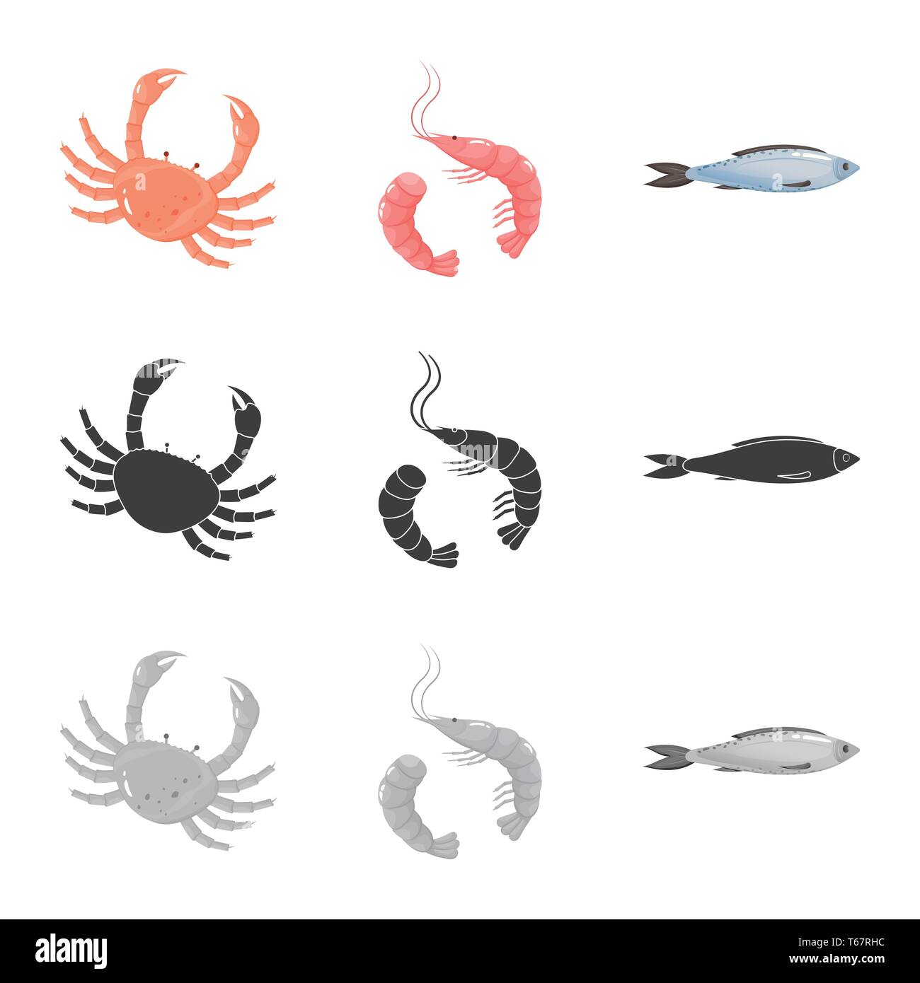 crab,shrimp,salmon,shell,prawn,fish,tentacles,trout,red,menu,delicacy ...