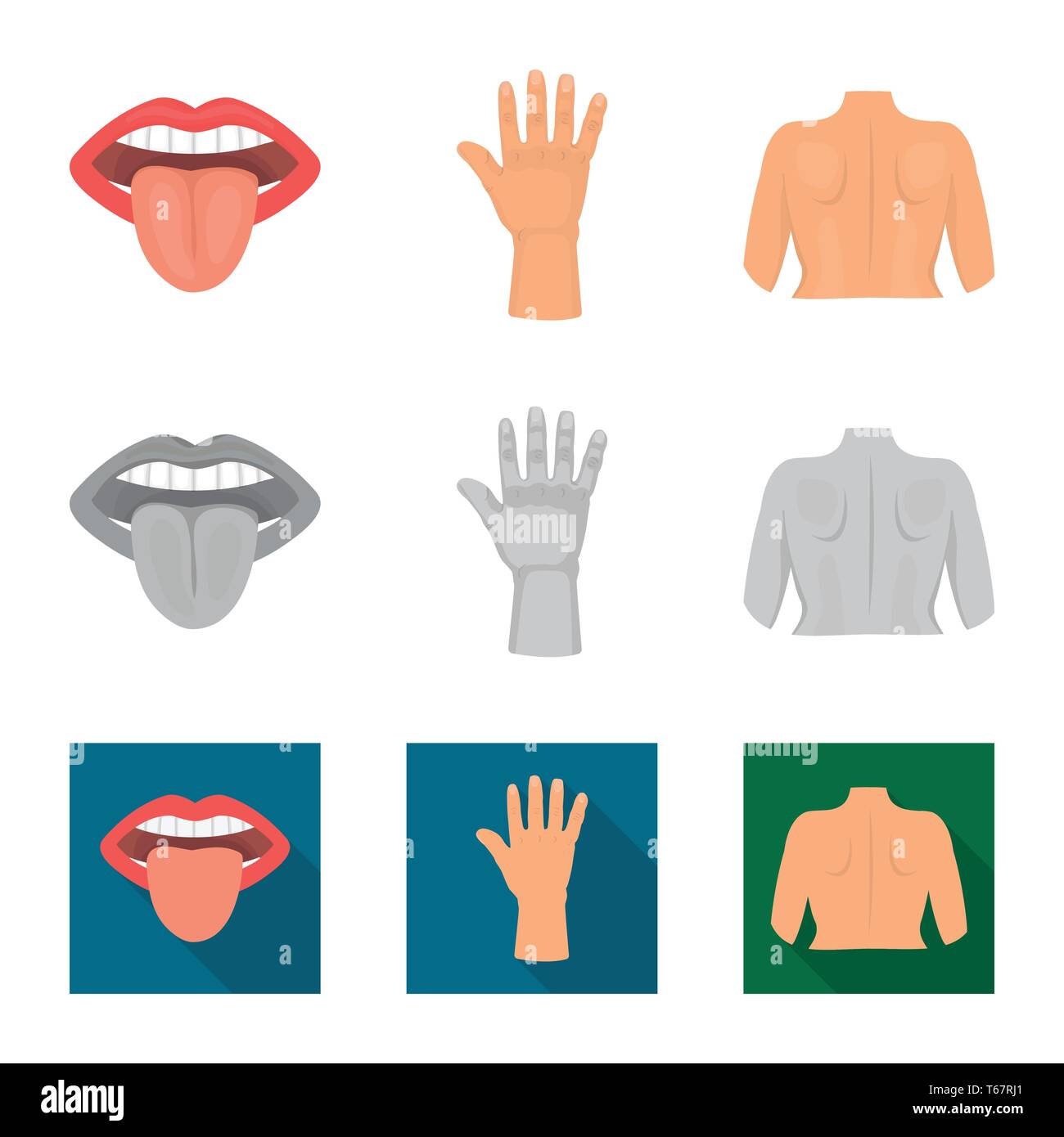 Vector illustration of body and part sign. Collection of body and ...