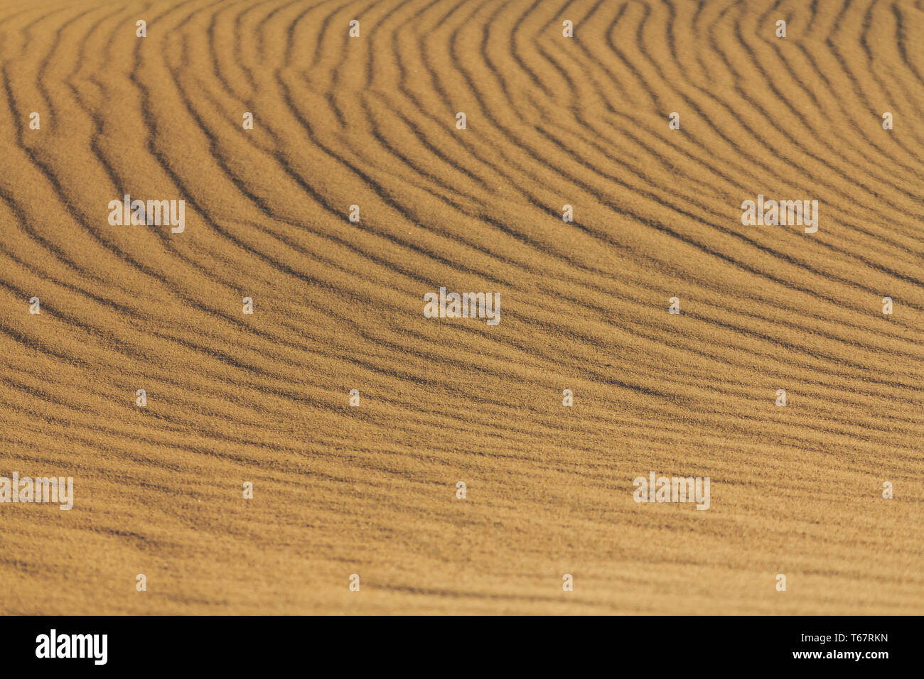 Close-up of the shadows of wind marks in the sand of the dunes on the ...