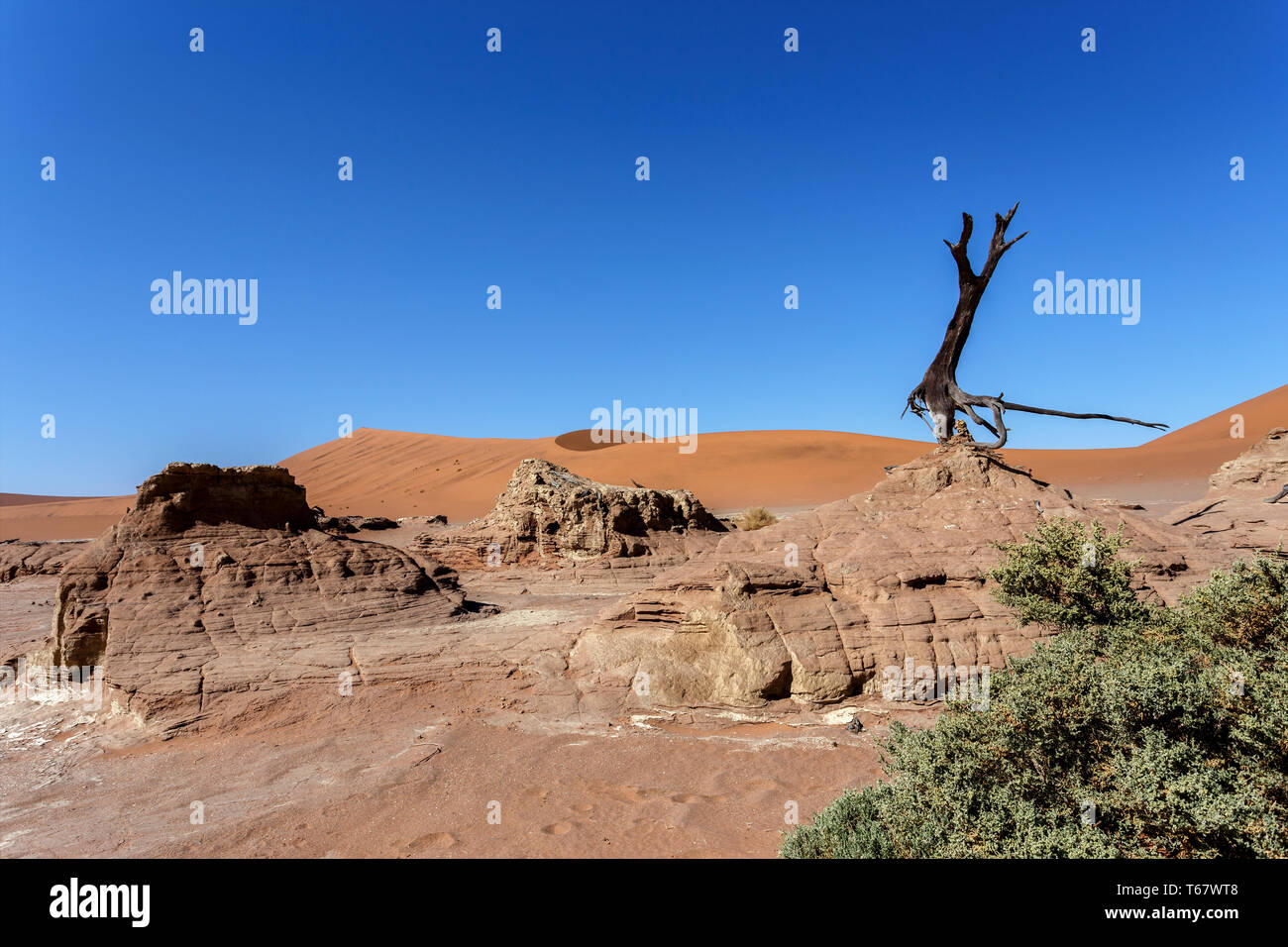 Sossusvlei beautiful landscape of death valley, namibia Stock Photo - Alamy
