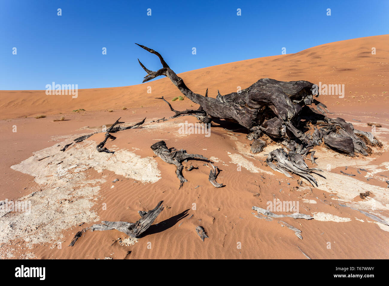 Sossusvlei beautiful landscape of death valley, namibia Stock Photo - Alamy