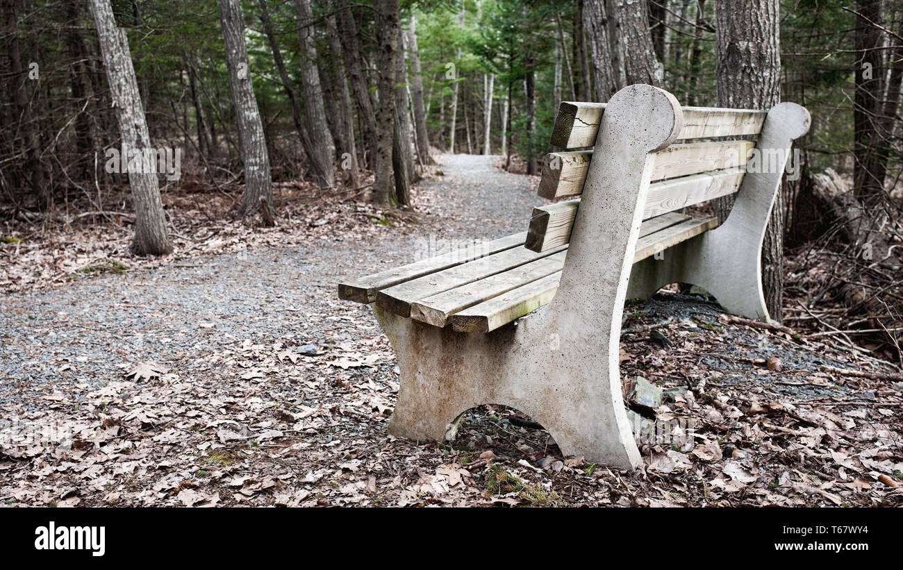 Bench footpath path seat hi-res stock photography and images - Alamy