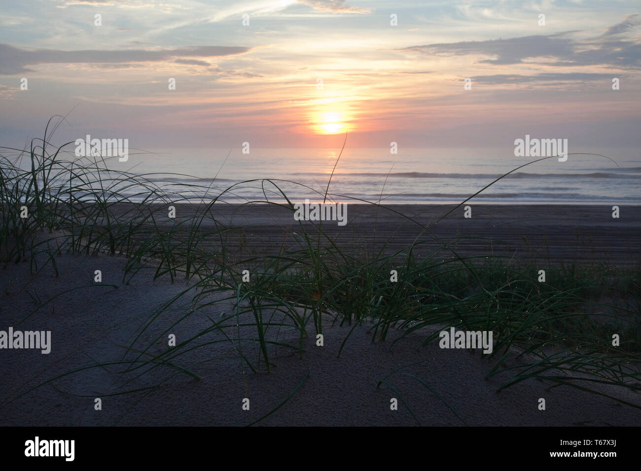 Summer, outer banks, north carolina, virginia Stock Photo - Alamy