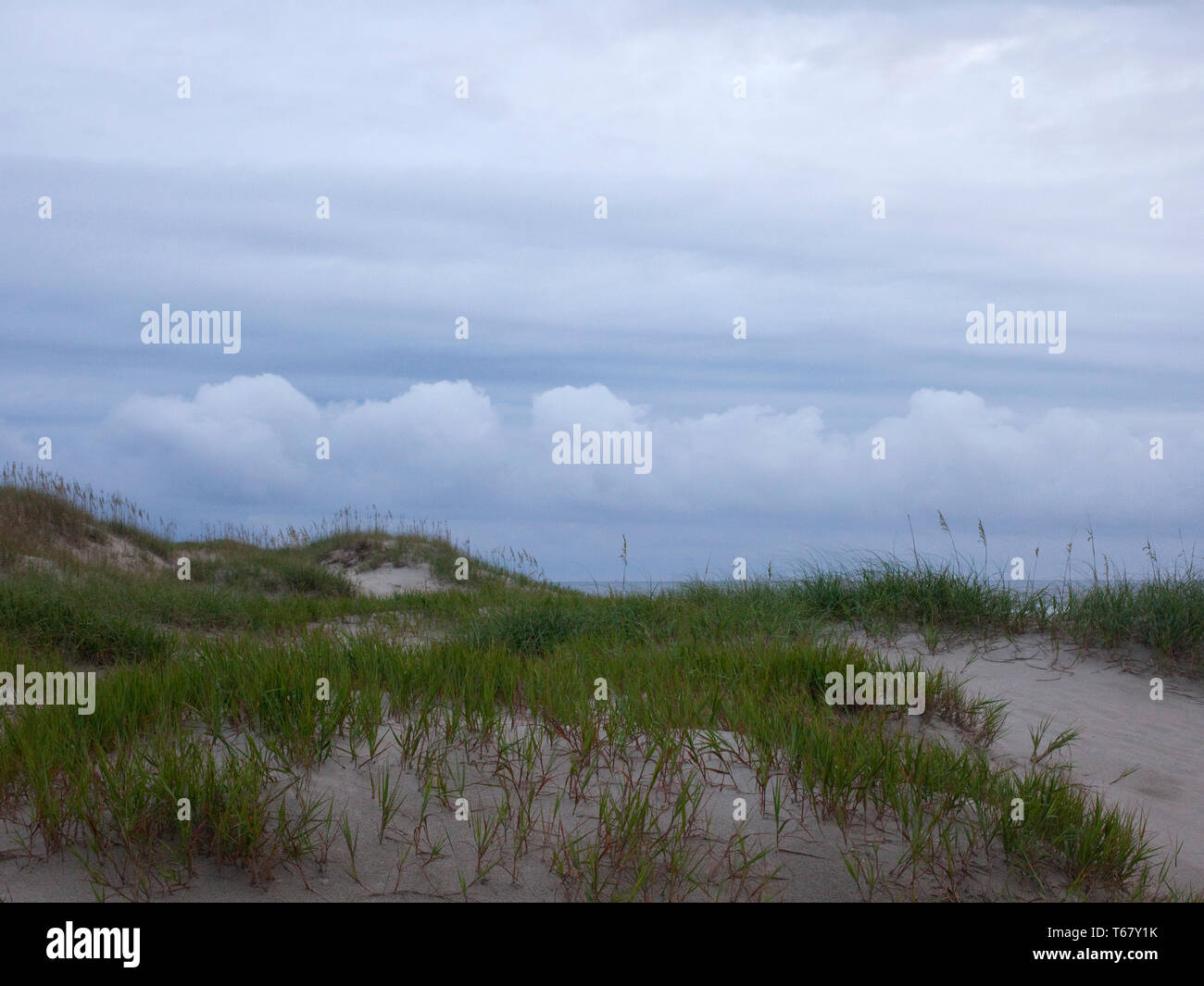 Summer, outer banks, north carolina, virginia Stock Photo - Alamy