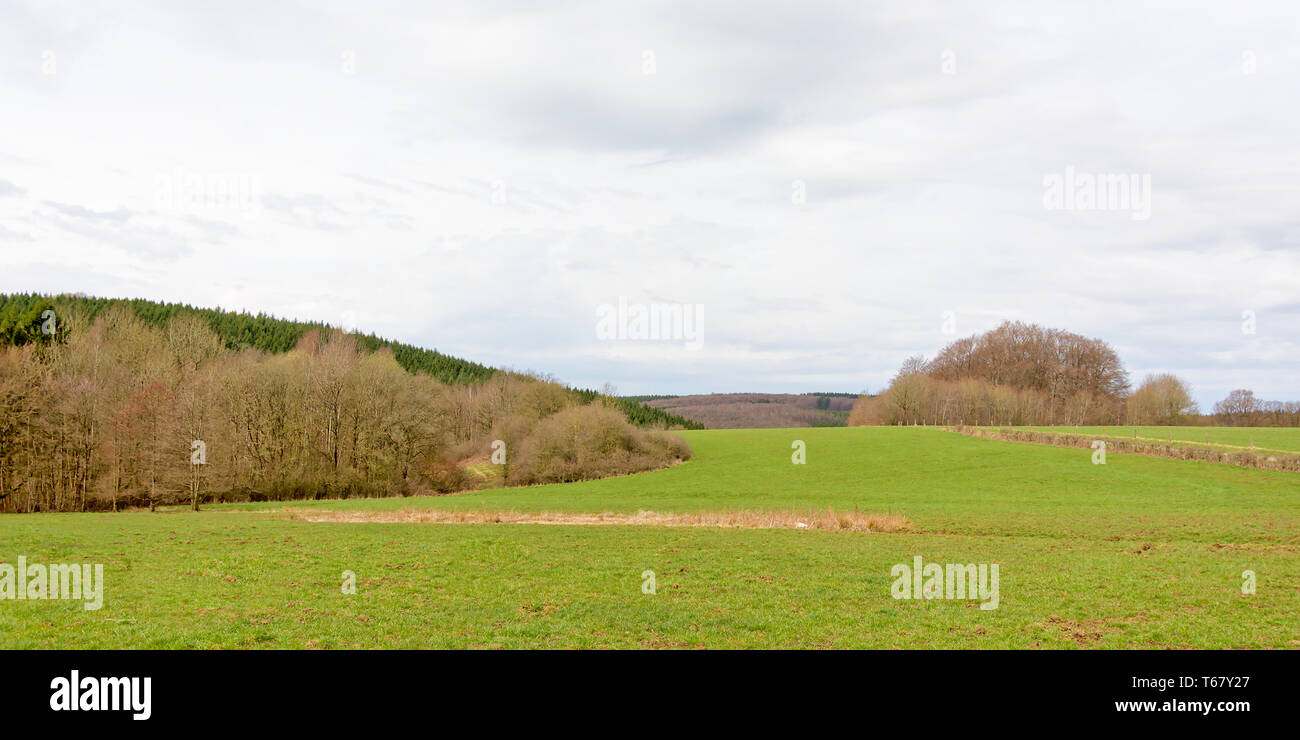 Landscape in layers: meadow and bare deciduous winter forest with hill ...