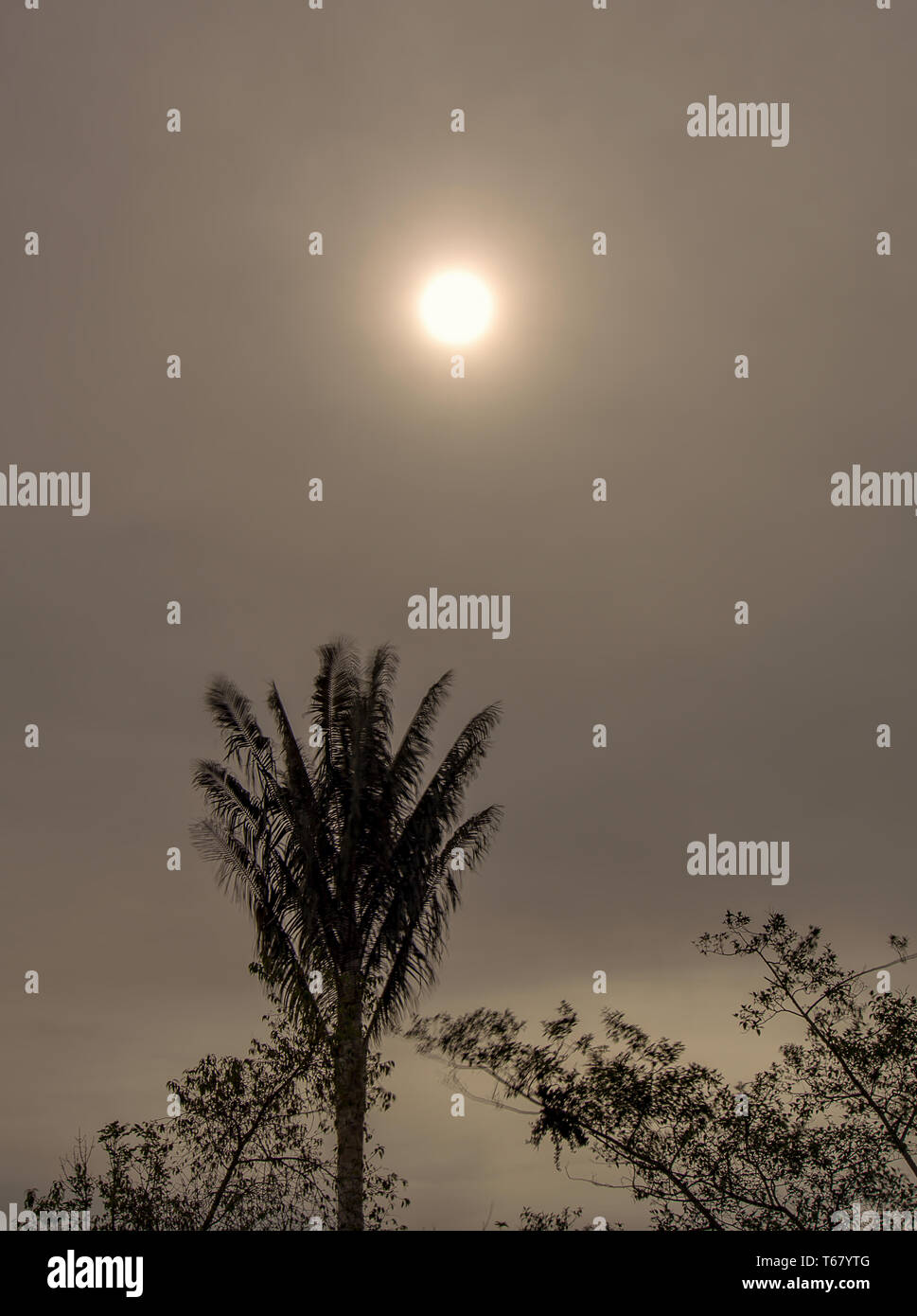 Tenous hi-res stock photography and images - Alamy