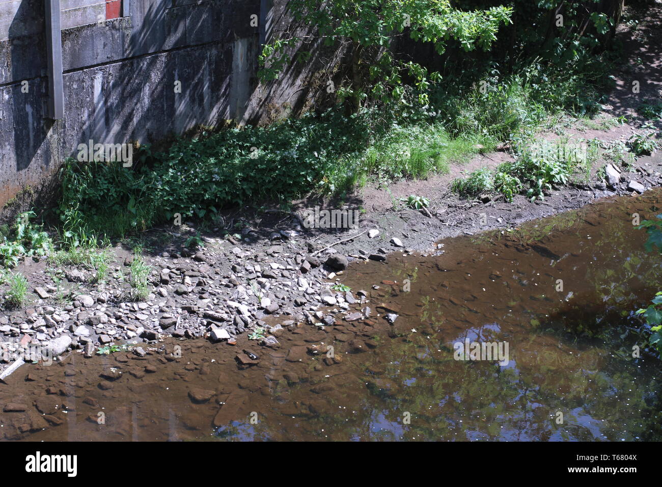 Linn Park, Glasgow Stock Photo - Alamy