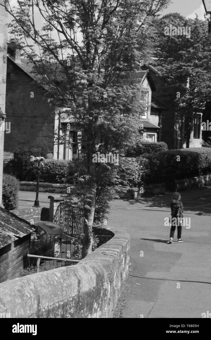 Linn Park, Glasgow Stock Photo - Alamy