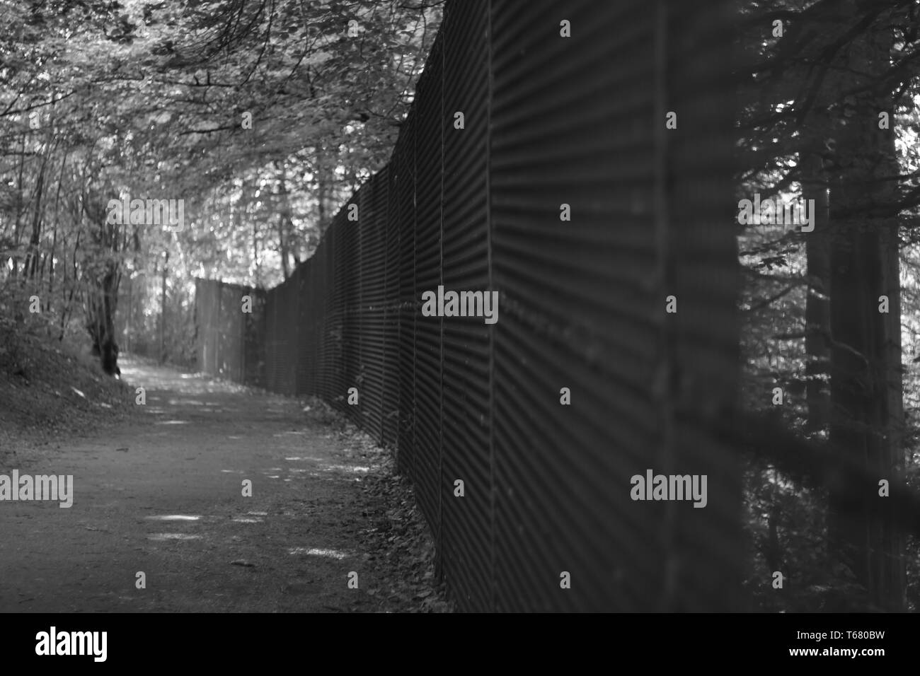 Linn Park, Glasgow Stock Photo - Alamy