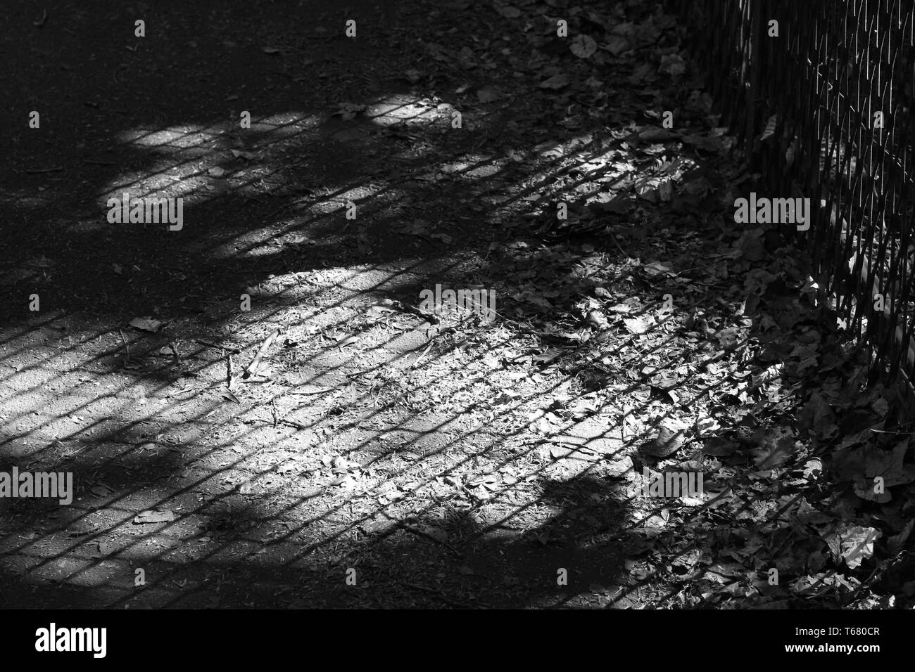 Linn Park, Glasgow Stock Photo - Alamy