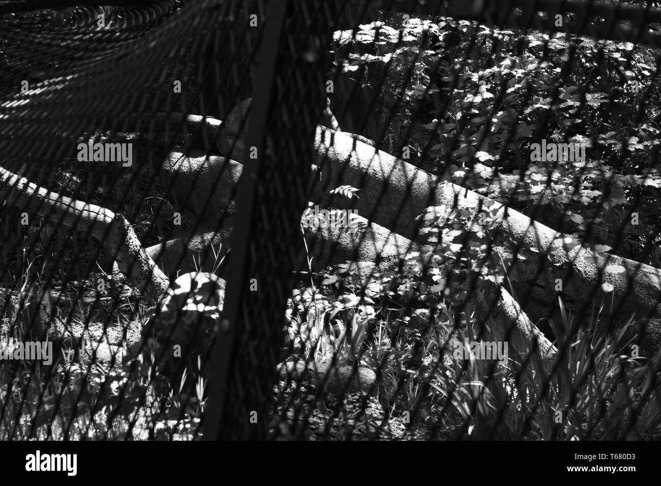 Linn Park, Glasgow Stock Photo - Alamy