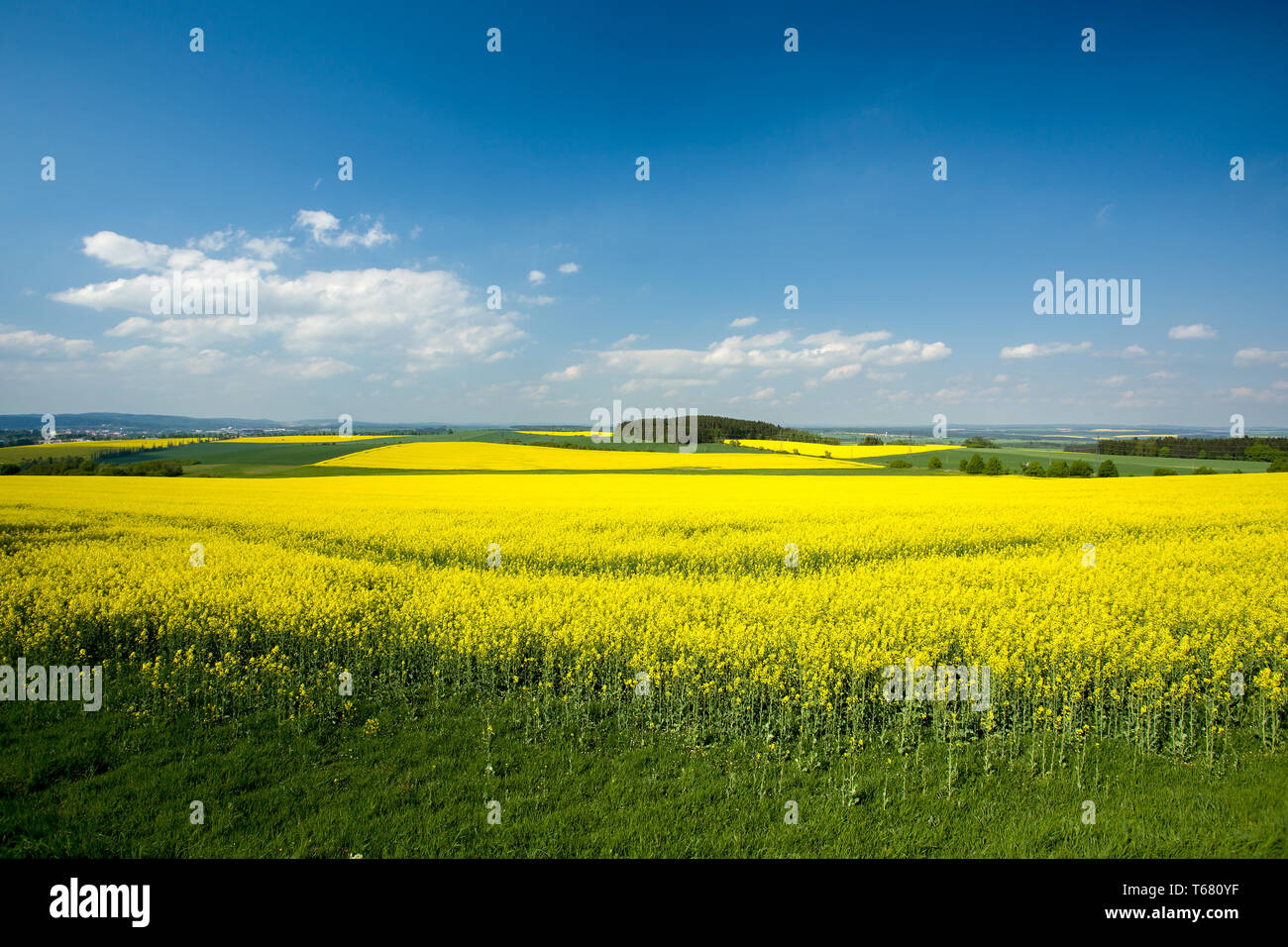 Beautiful spring rural landscape Stock Photo - Alamy