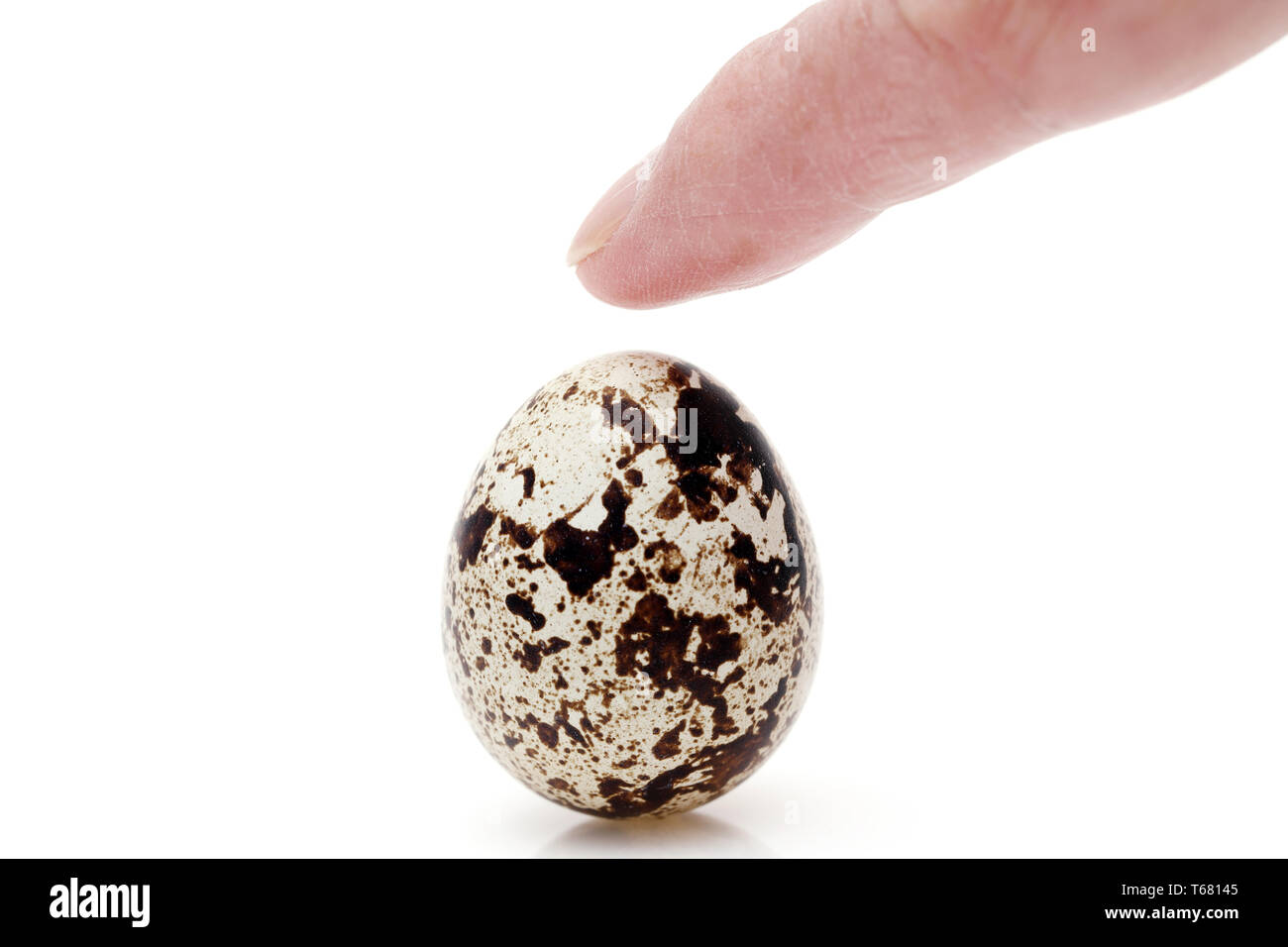 Standing quail egg on a white background, in a studio shot Stock Photo ...