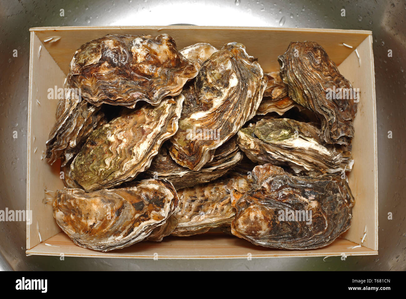 Clam box hi-res stock photography and images - Alamy