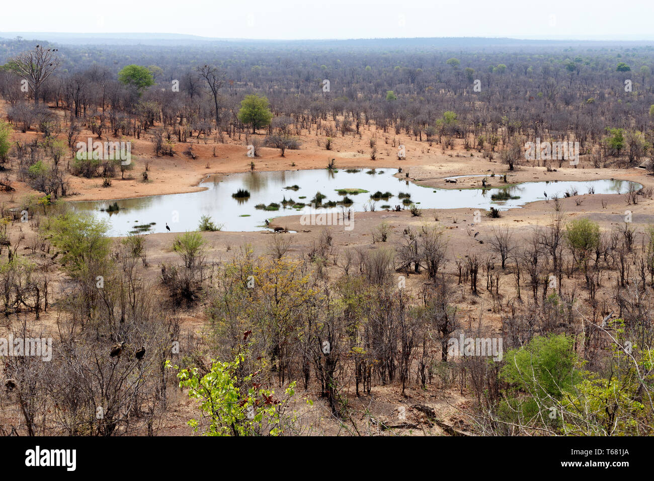 view of african landscape Stock Photo - Alamy