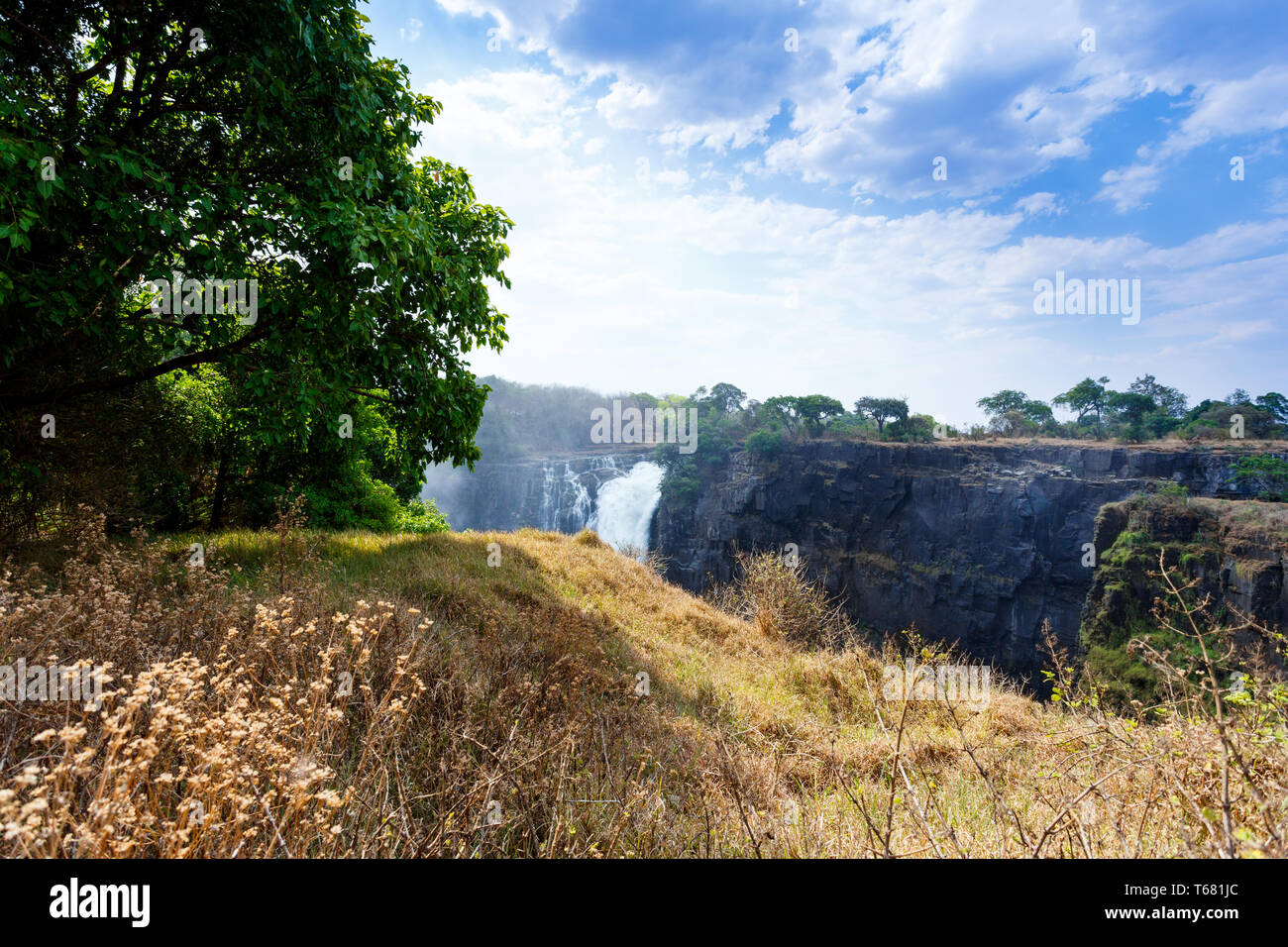The Victoria falls with mist from water Stock Photo - Alamy