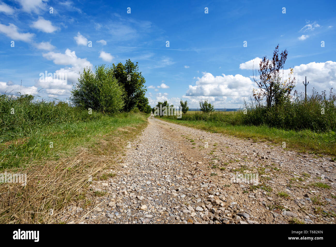 rural path with trees next to meadows Stock Photo - Alamy