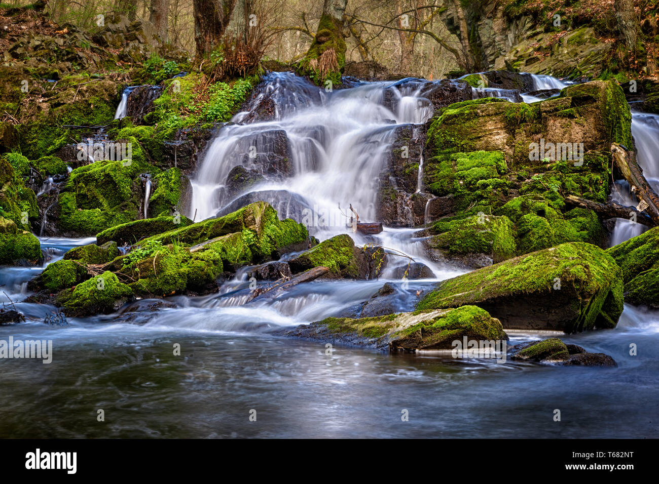 Selke river hi-res stock photography and images - Alamy