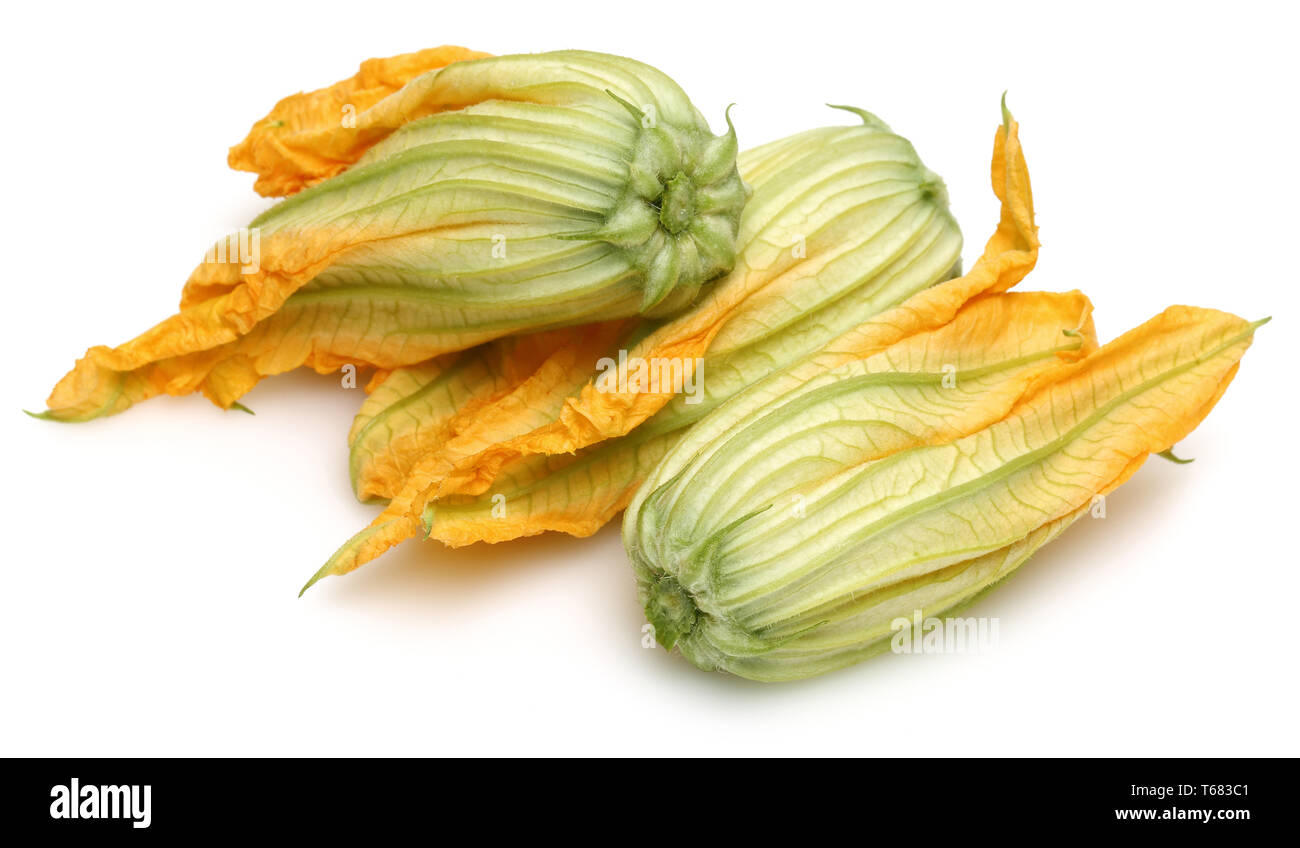 Squash Blossoms isolated on white background Stock Photo - Alamy
