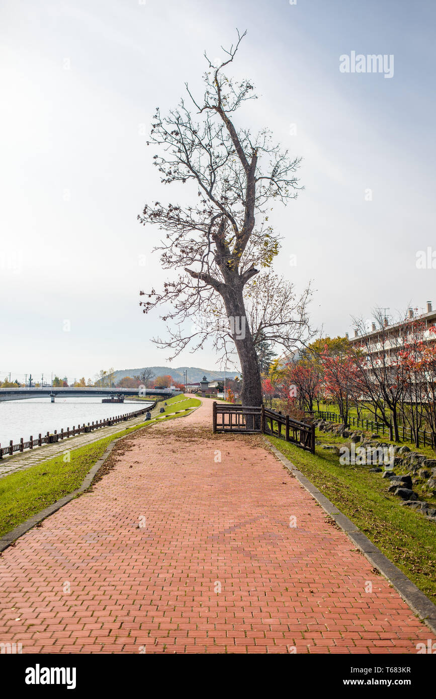 Abashiri hi-res stock photography and images - Alamy