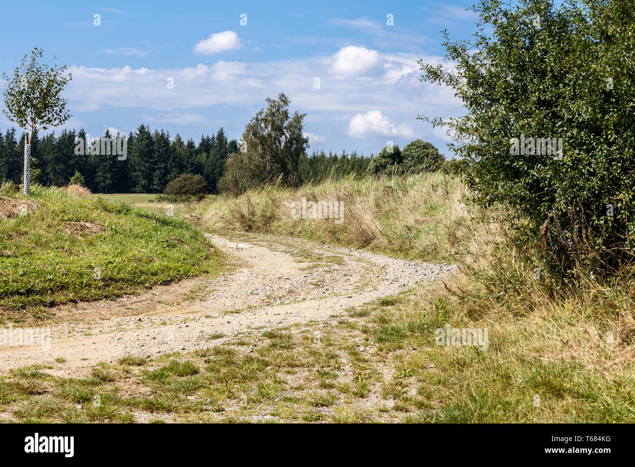 rural path with trees next to meadows Stock Photo - Alamy