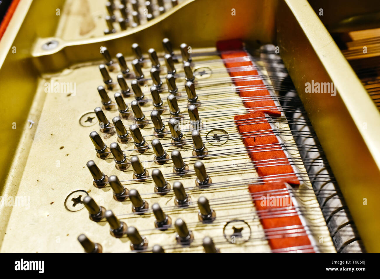 Detail of the interior of a piano with the soundboard, strings and pins ...