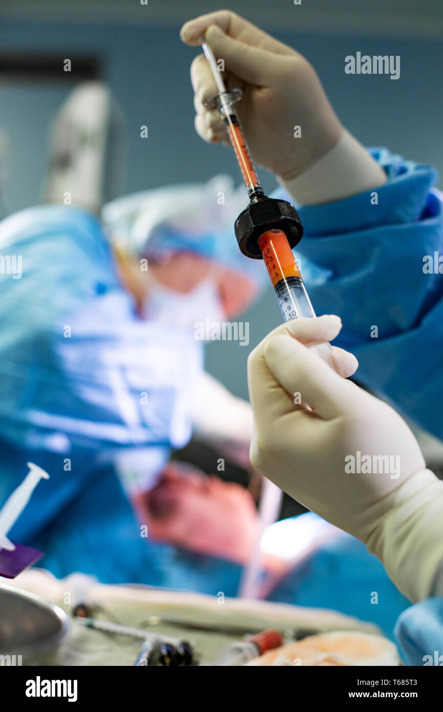 Hands Holding Syringe and Transfer Fat with Nano Fat Transfer Tool in ...