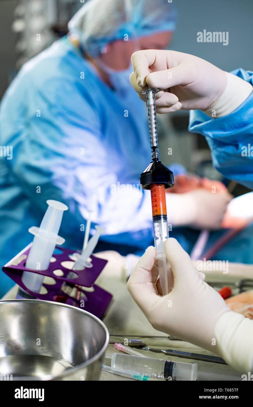 Hands Holding Syringe and Transfer Fat with Nano Fat Transfer Tool in ...