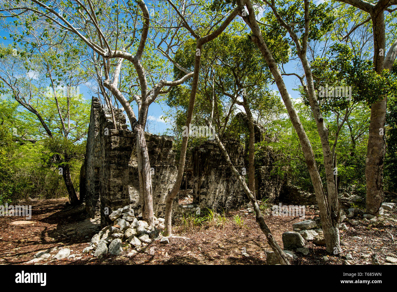 Wade's Green Plantation Historic Site, Kew, North Caicos, Turks and ...