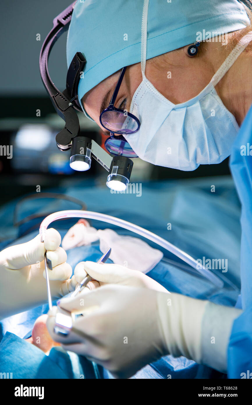 Surgeon and his assistant performing cosmetic surgery on nose in ...