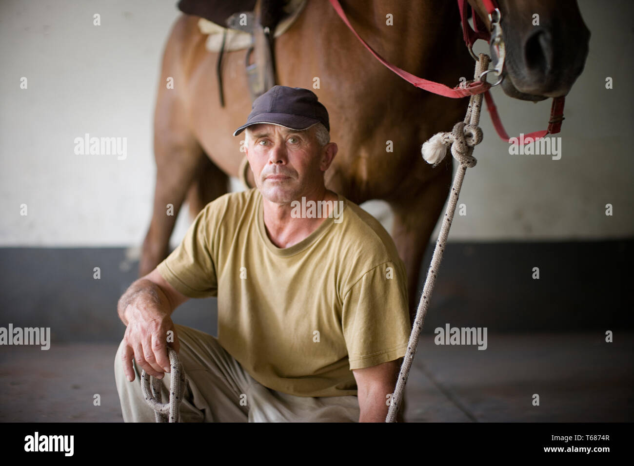View of a man posing with a horse Stock Photo - Alamy