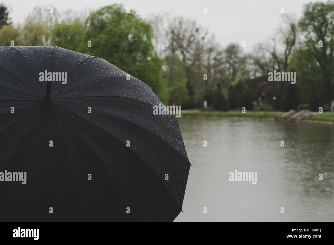 Back Umbrella in the rain. Park visible in background Stock Photo - Alamy