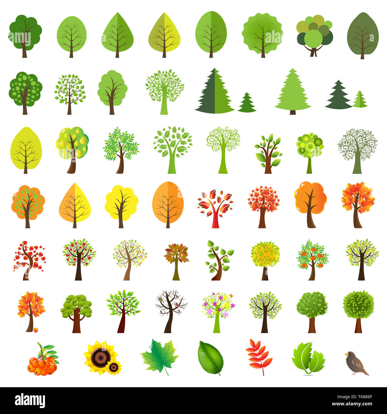 Wood forest birch trees Cut Out Stock Images & Pictures - Alamy