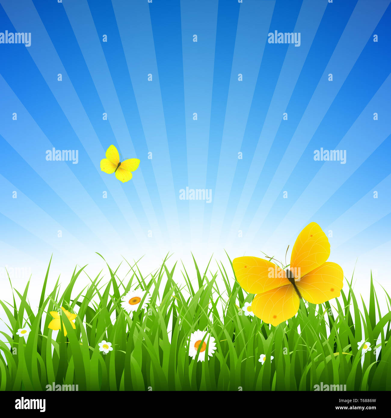 Nature Background With Grass And Flowers Stock Photo - Alamy