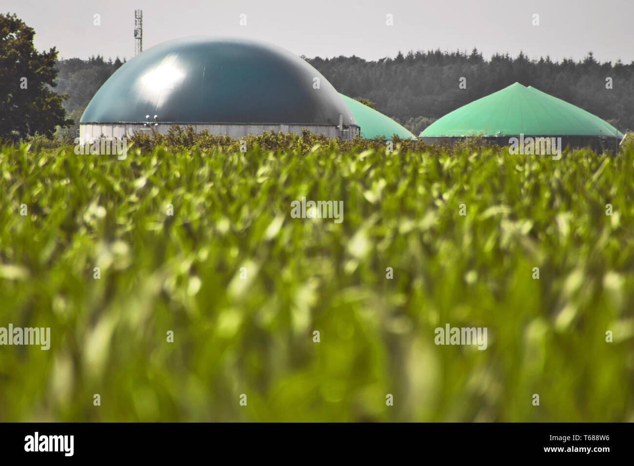 Produce biogas hi-res stock photography and images - Alamy