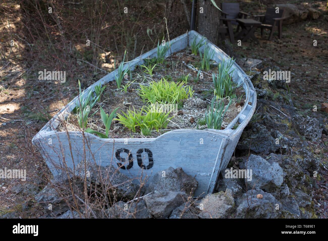 Boat planter hi-res stock photography and images - Alamy